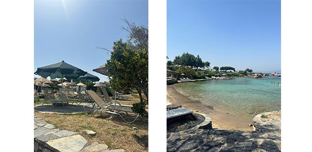 Fırsat 35 - Çeşme Dodo Beach Club'ta Hamburger Menüsü Dahil Tesis Giriş ...